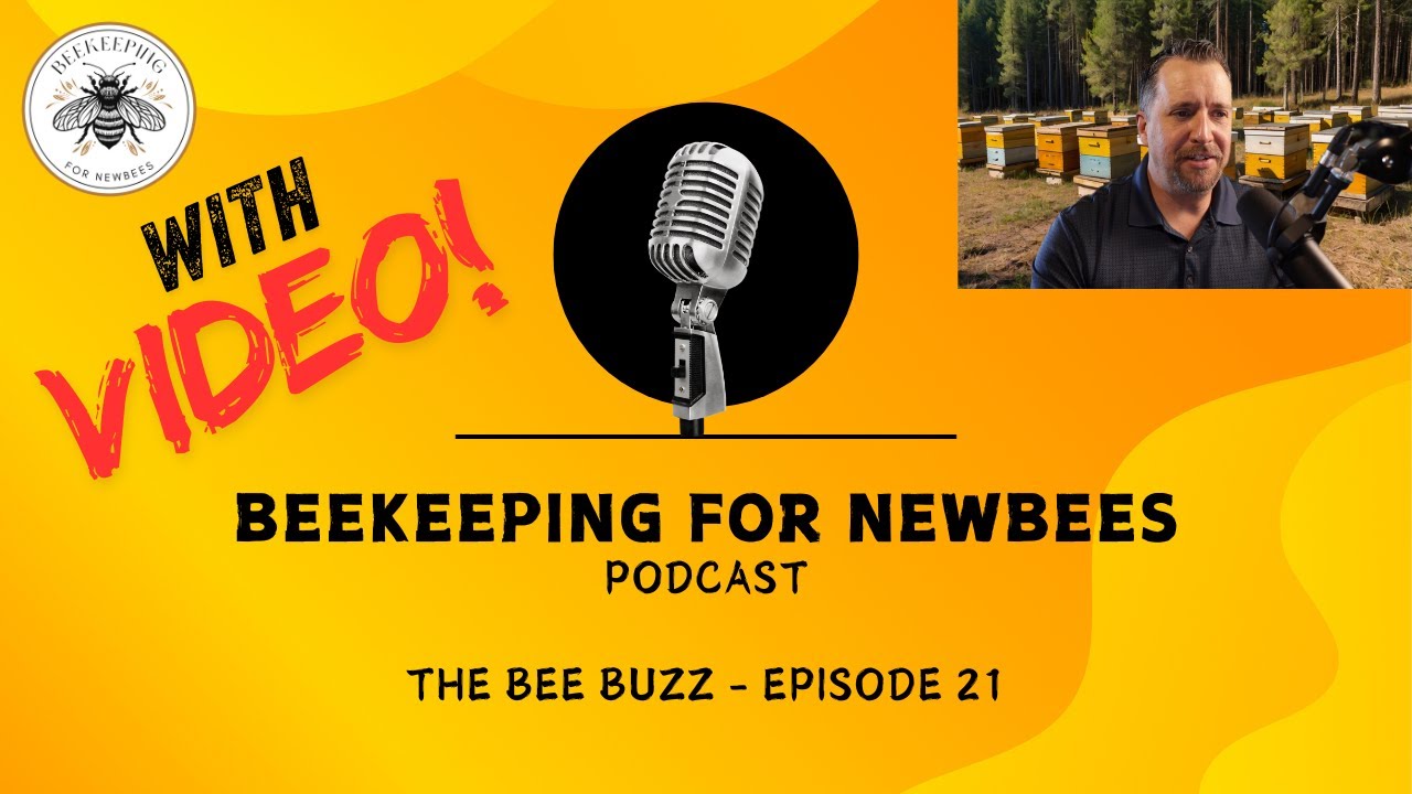 The Bee Buzz Episode 21 (Part of the BK4N Podcast) #beekeeping - YouTube