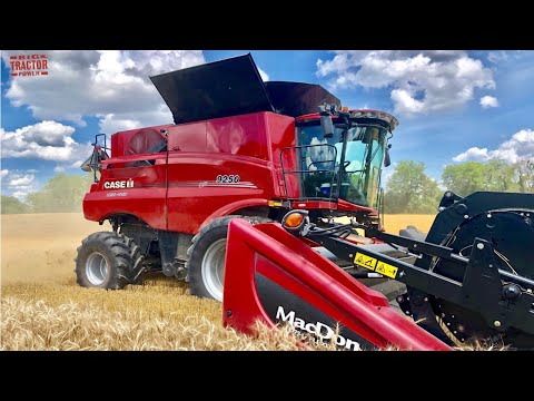 Case IH 9250 Axial-Flow Combine Harvesting Wheat