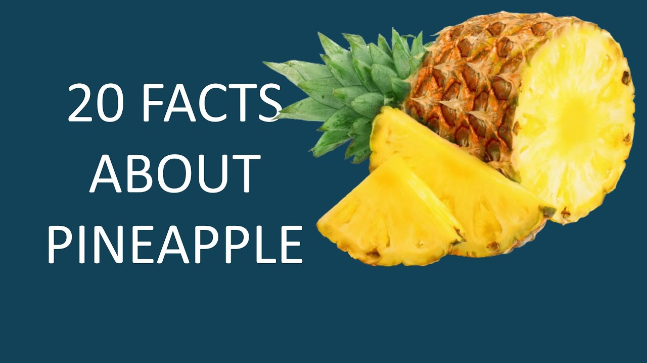 20 Mind-Blowing Facts About Pineapple That Will Make You Love It Even ...