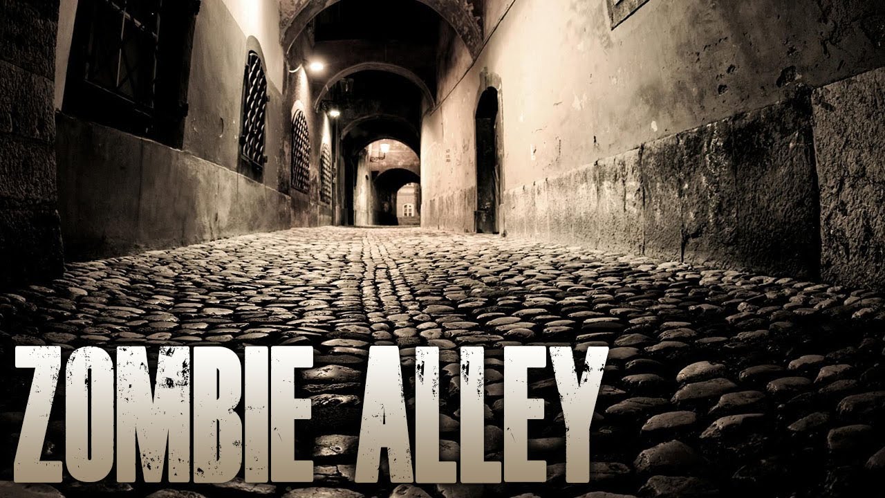 ZOMBIE ALLEY CHALLENGE (Call of Duty Zombies Map) - YouTube