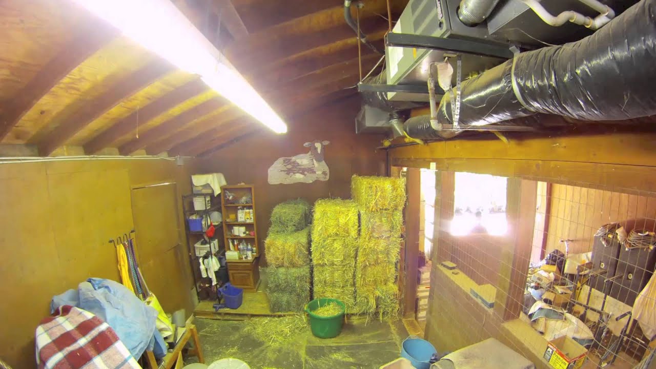 Loading Hay - YouTube