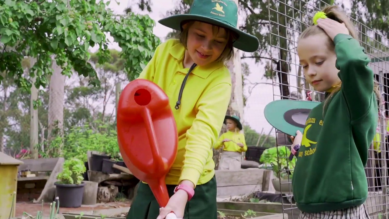Welcome to Sandringham East Primary School - YouTube