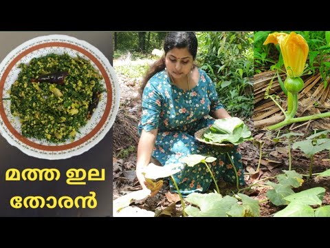 mathan ila thoran| pumpkin leaf thoran| mathan ila curry| - YouTube