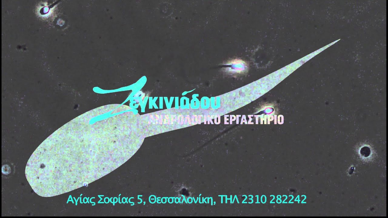Σπερματοζωάρια με νωθρή προωθητική κινητικότητα - YouTube