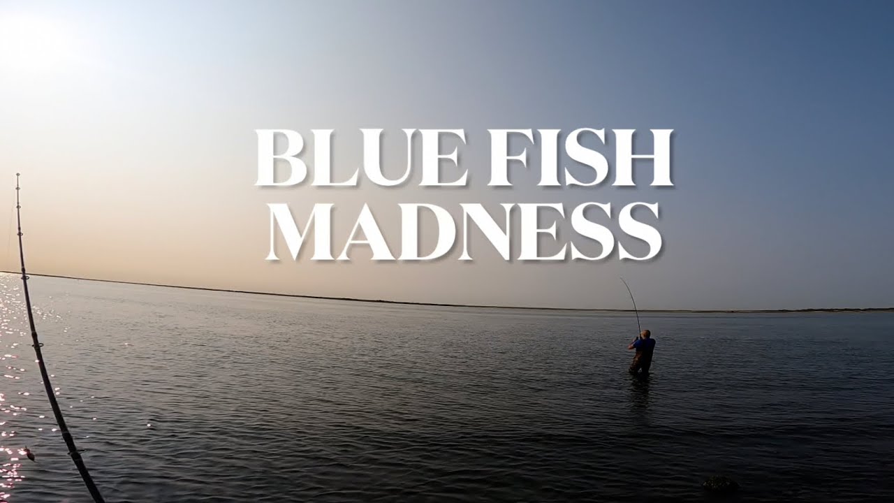 Blue Fish feeding frenzy with top water and SP minnows - YouTube