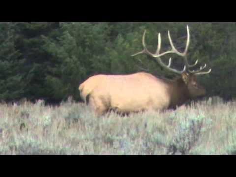 Monster Bugle - YouTube