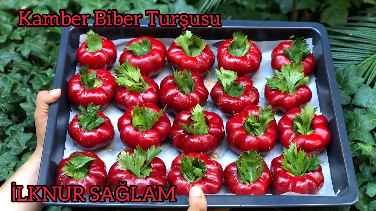 Bu Tarif Her Öğüne Her Yemeğe Yakışıyor💯Kambe Biber/Kamber Biber ...