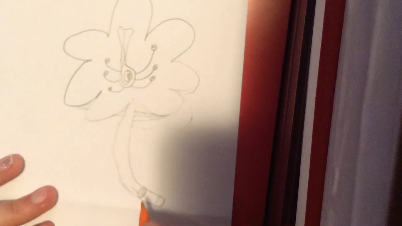 Labeling a flower - YouTube