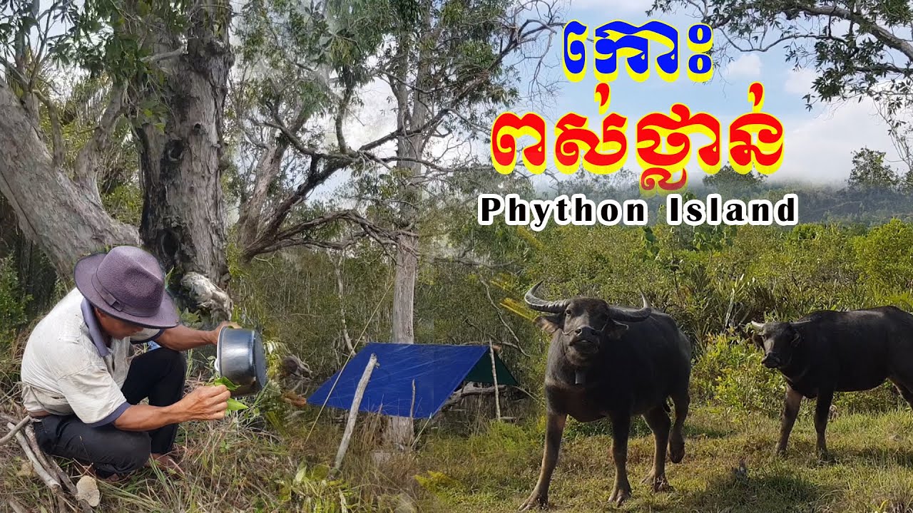 ទស្សនាកោះពស់ថ្លាន់ ឬជ្រលងដើមស្វាយក្នុងរដូវប្រាំង/Visit Python Island ...