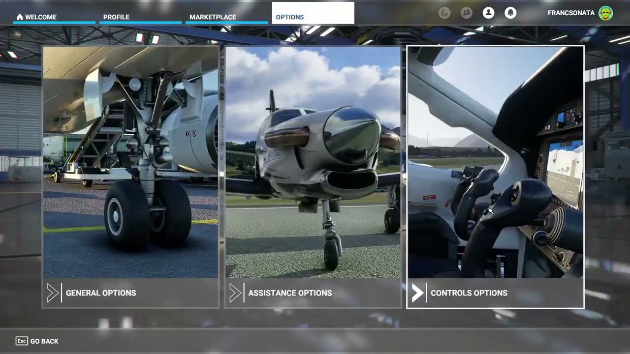 HOTAS X CONTROLS | MICROSOFT FLIGHT SIMULATOR - YouTube