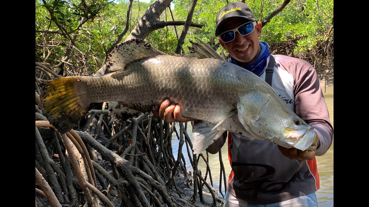 Land-based fishing for saltwater barramundi Mackay, Australia (lures ...