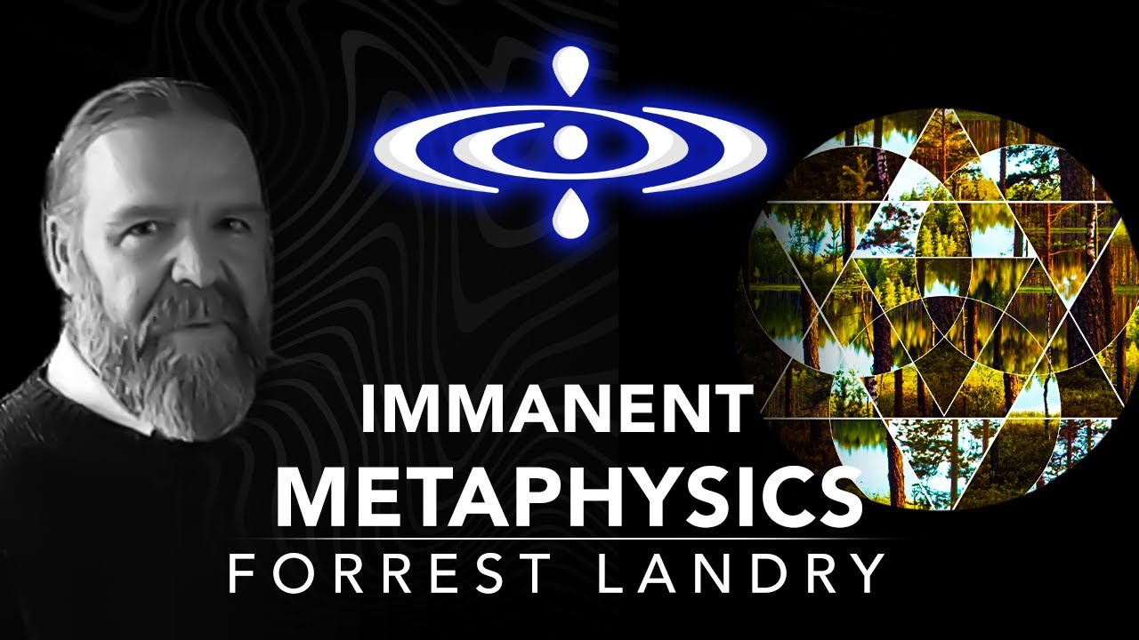Forrest Landry - Immanent Metaphysics | Elevating Consciousness Podcast ...