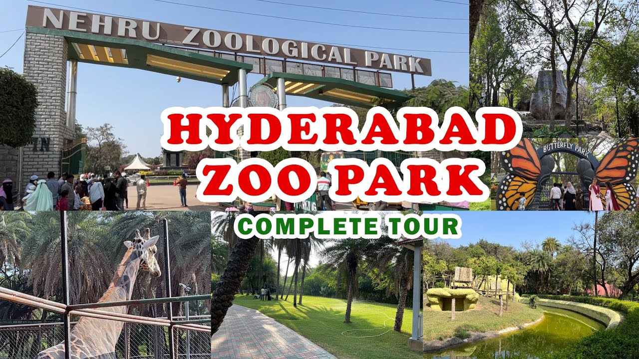 Zoo park hyderabad, Nehru zoological park hyderabad, telangana - YouTube