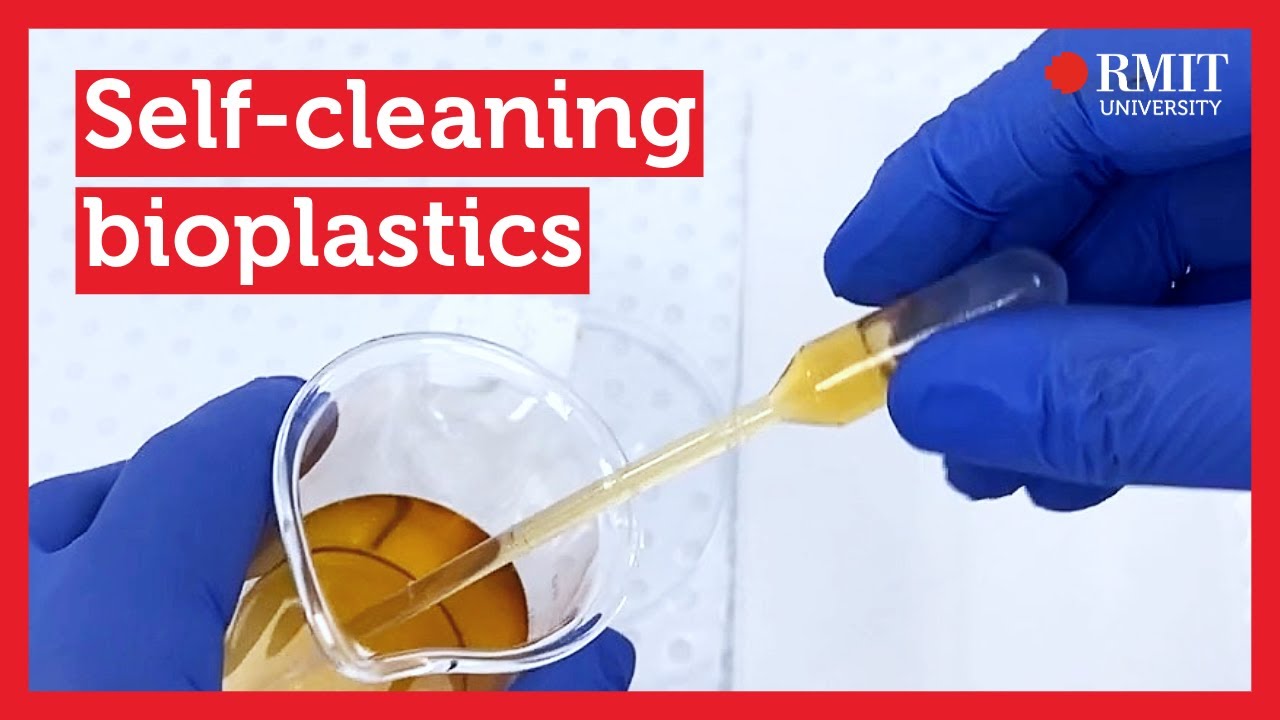 A lotus-inspired bioplastic that’s sustainable and compostable | RMIT ...