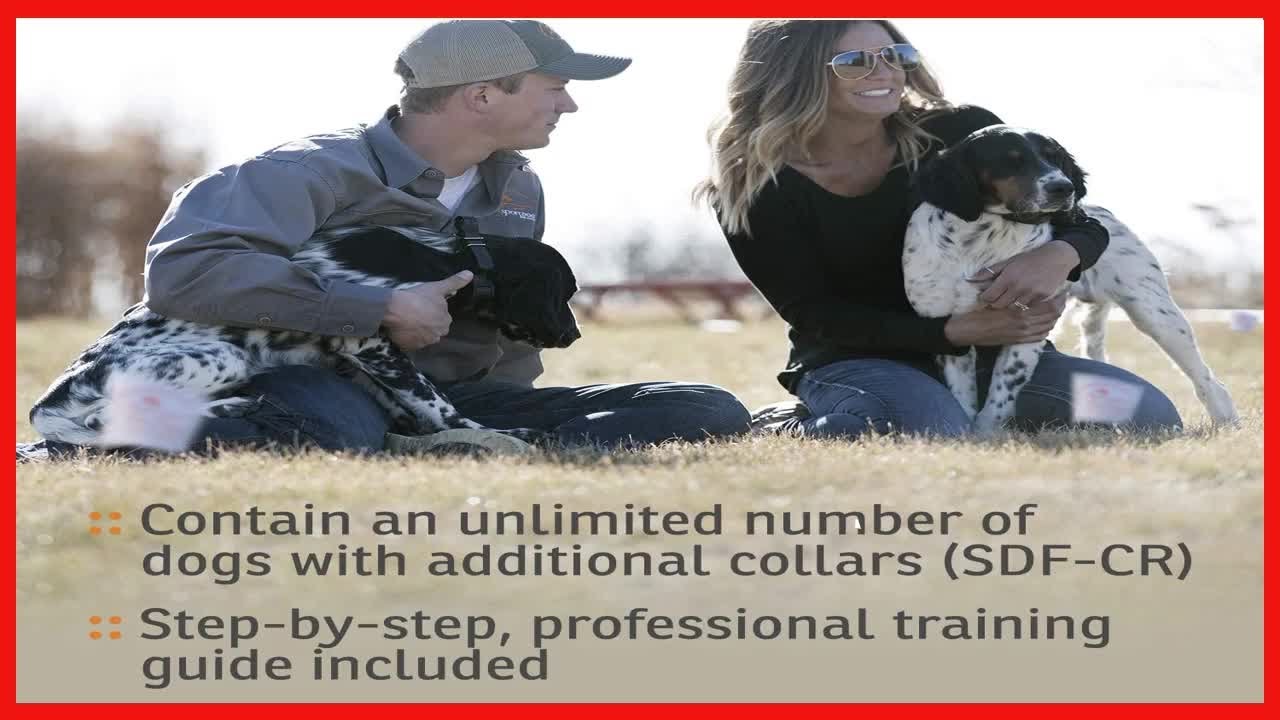 SportDOG Brand Rechargeable In-Ground Fence Systems – from the Parent ...