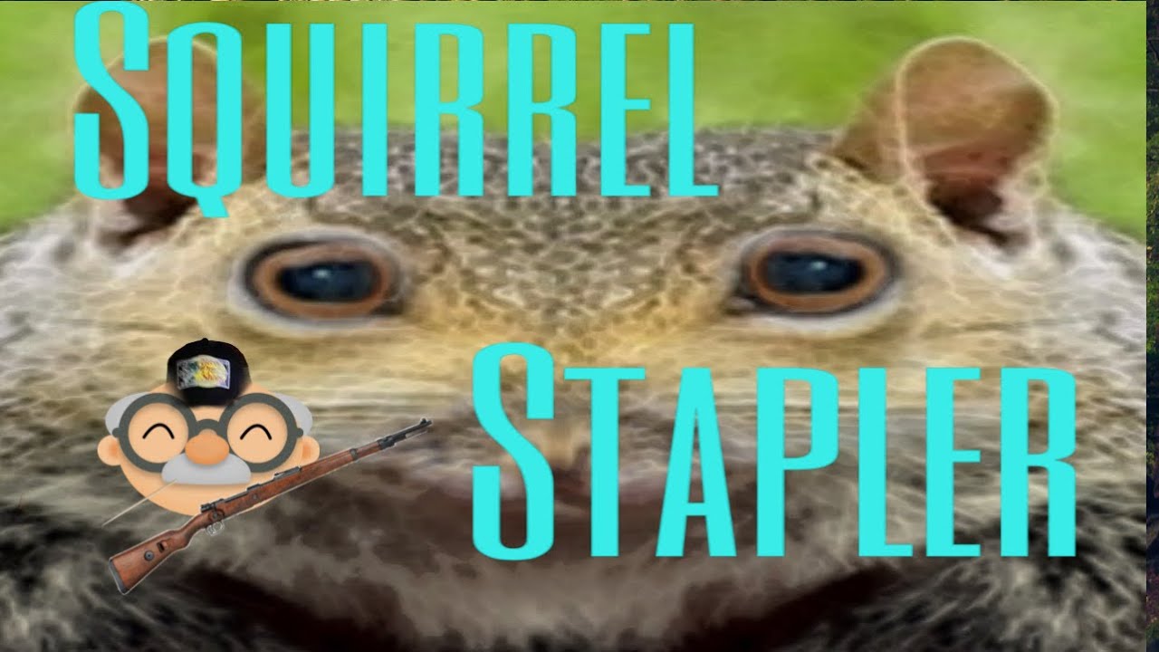 Squirrel Stapler: its stapling time! - YouTube