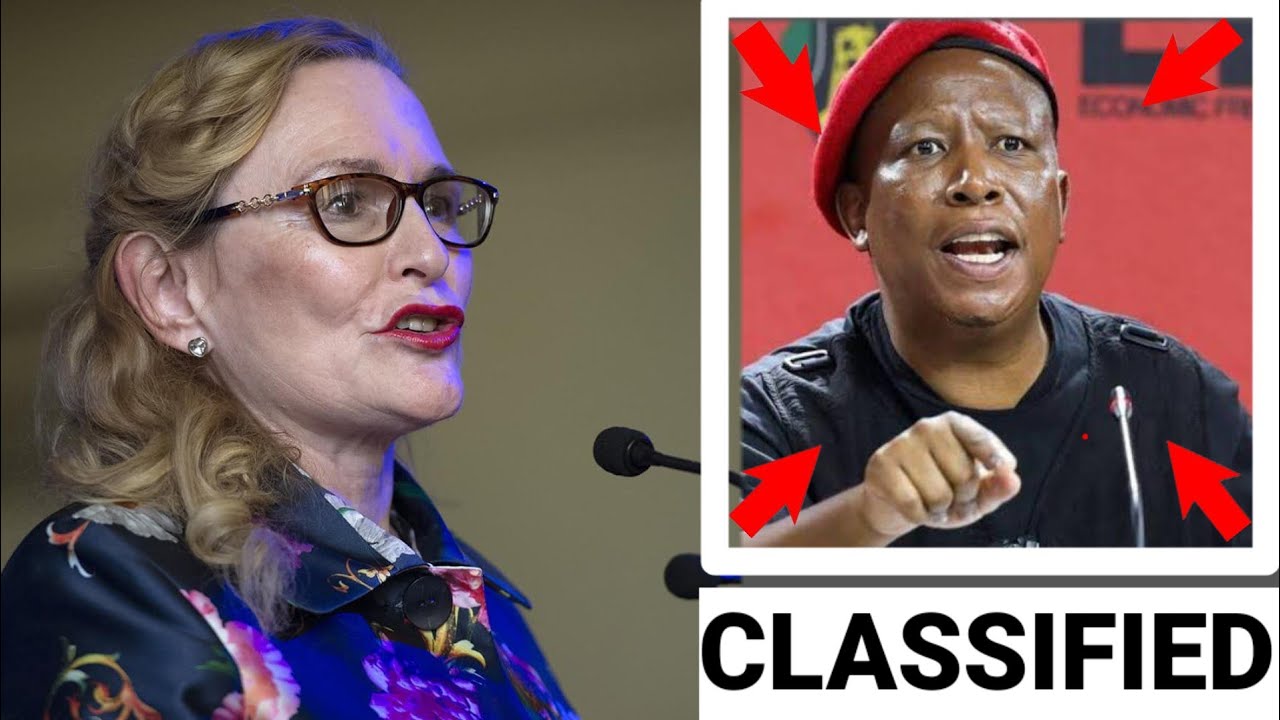 SHOCK IN PARLIAMENT: EFF Members FROZEN as Helen Zille Reads Classified ...