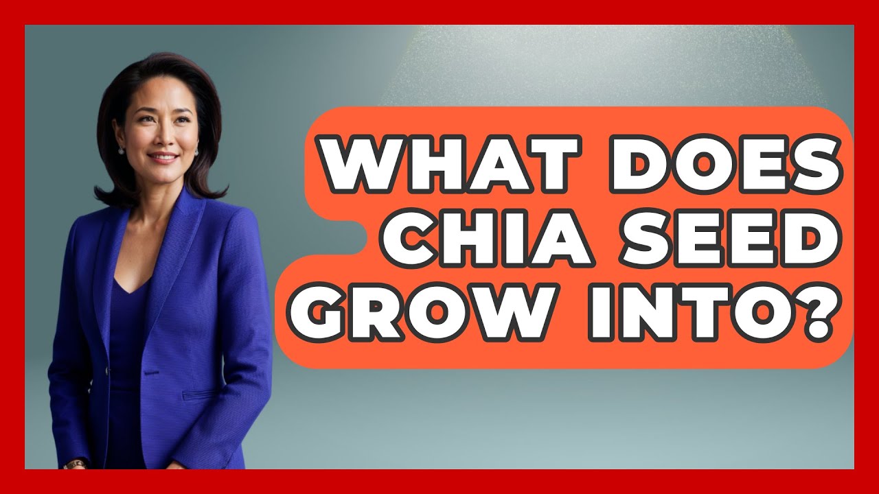 What Does Chia Seed Grow Into? - The Plant Enthusiast - YouTube