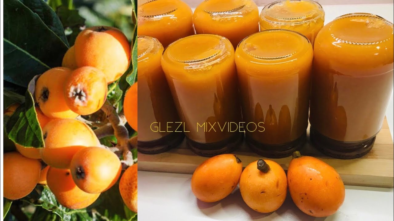 How to make NESPOLI JAM ? Louqat Fruit Jam #easyrecipe #fruitjam - YouTube