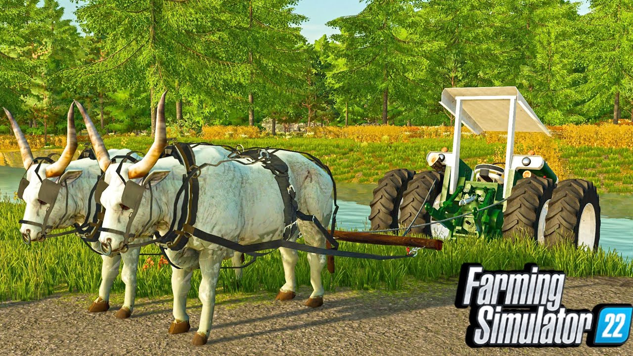 I LOST MY FAMILY FARM? (NEVER RUN AGAIN) | FARMING SIMULATOR 22 - YouTube