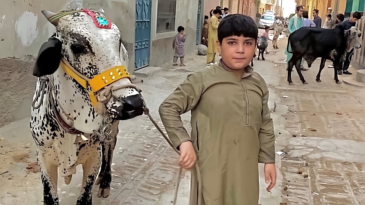 Bakra Eid 2024 Last Night || Eid S.24 EP 37 || IRSHAD 91 - YouTube