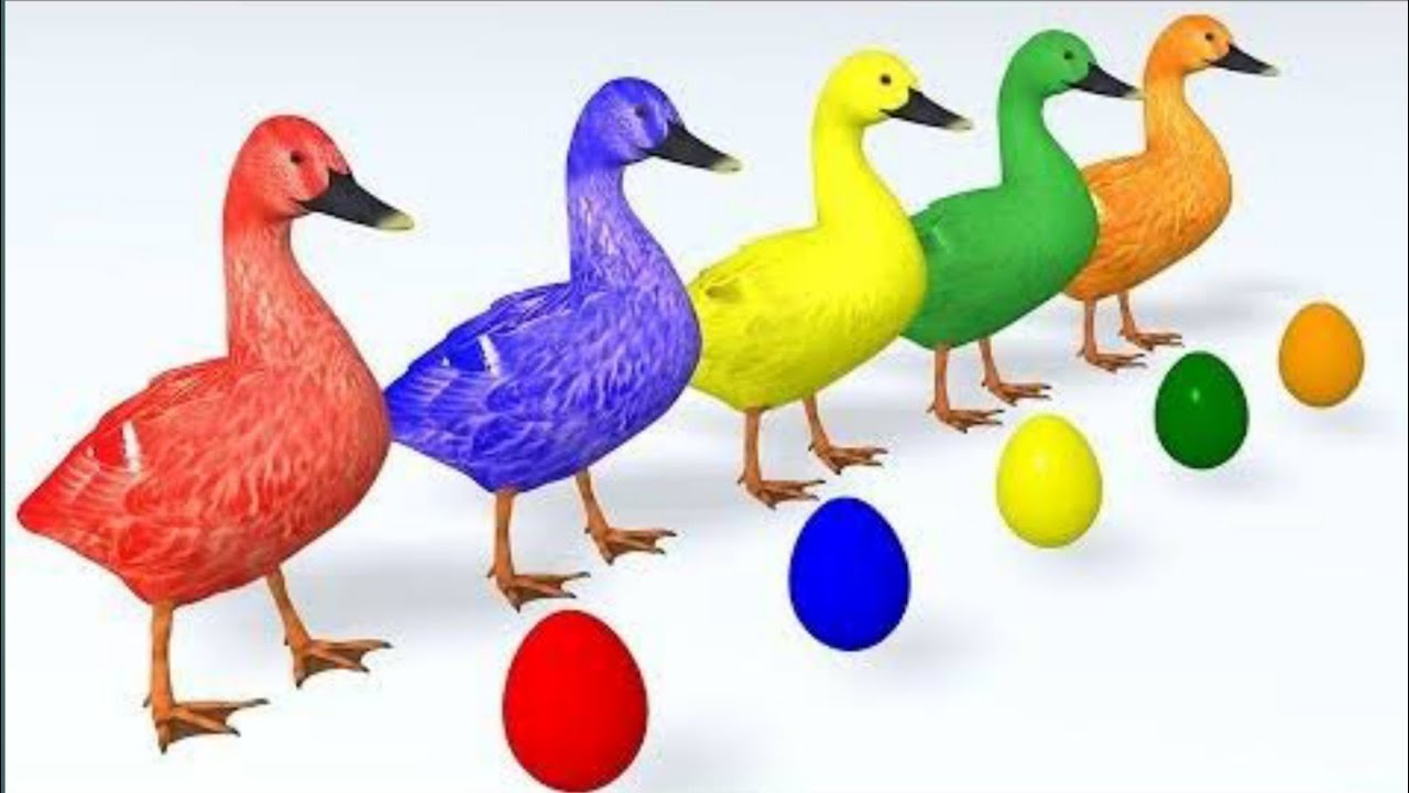 best Animals Cartoon for kids|bacho ke cartoon| - YouTube