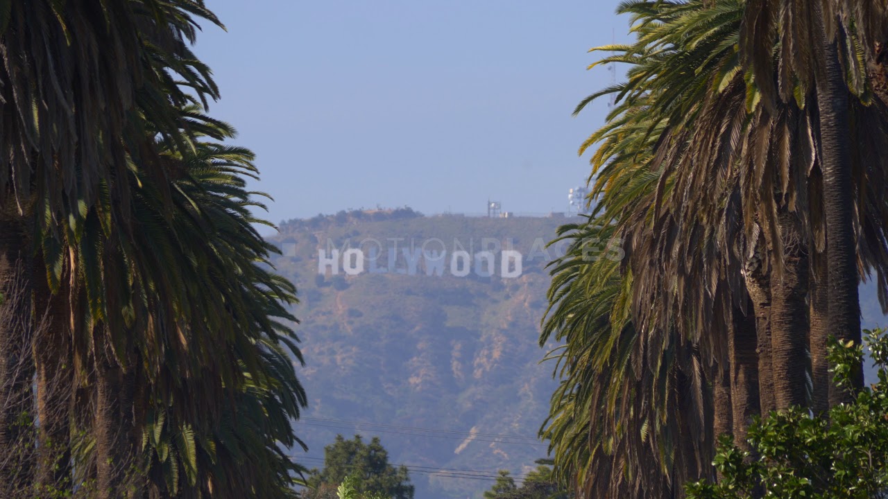 Hollywood Sign Palm Trees Free Stock Footage - YouTube