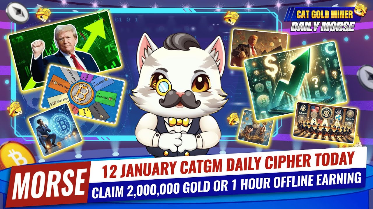 12 January CATGM Daily Cipher Today⚡️CAT GOLD MINER OFFICIAL - YouTube