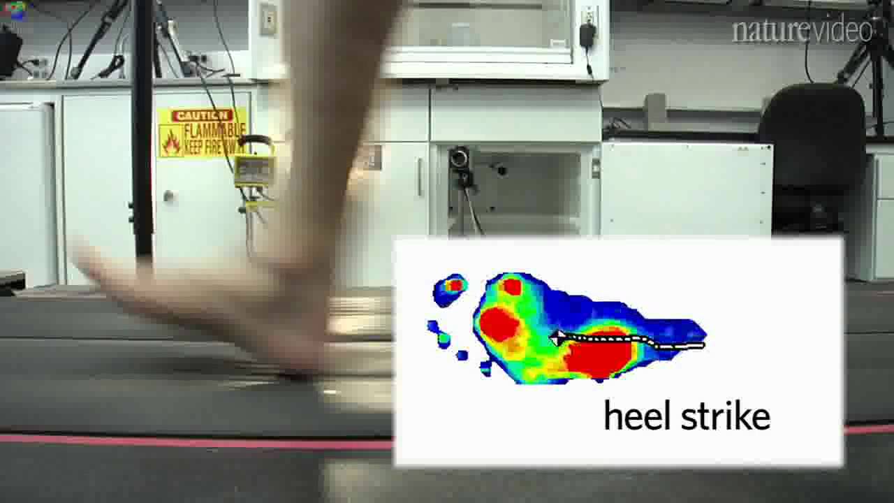 The Barefoot Professor - YouTube