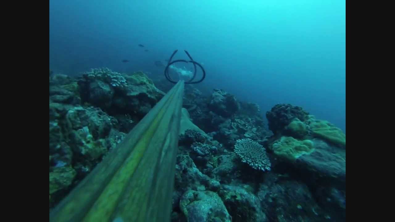 Spearfishing Guam- Leagues Deep-Prelude - YouTube