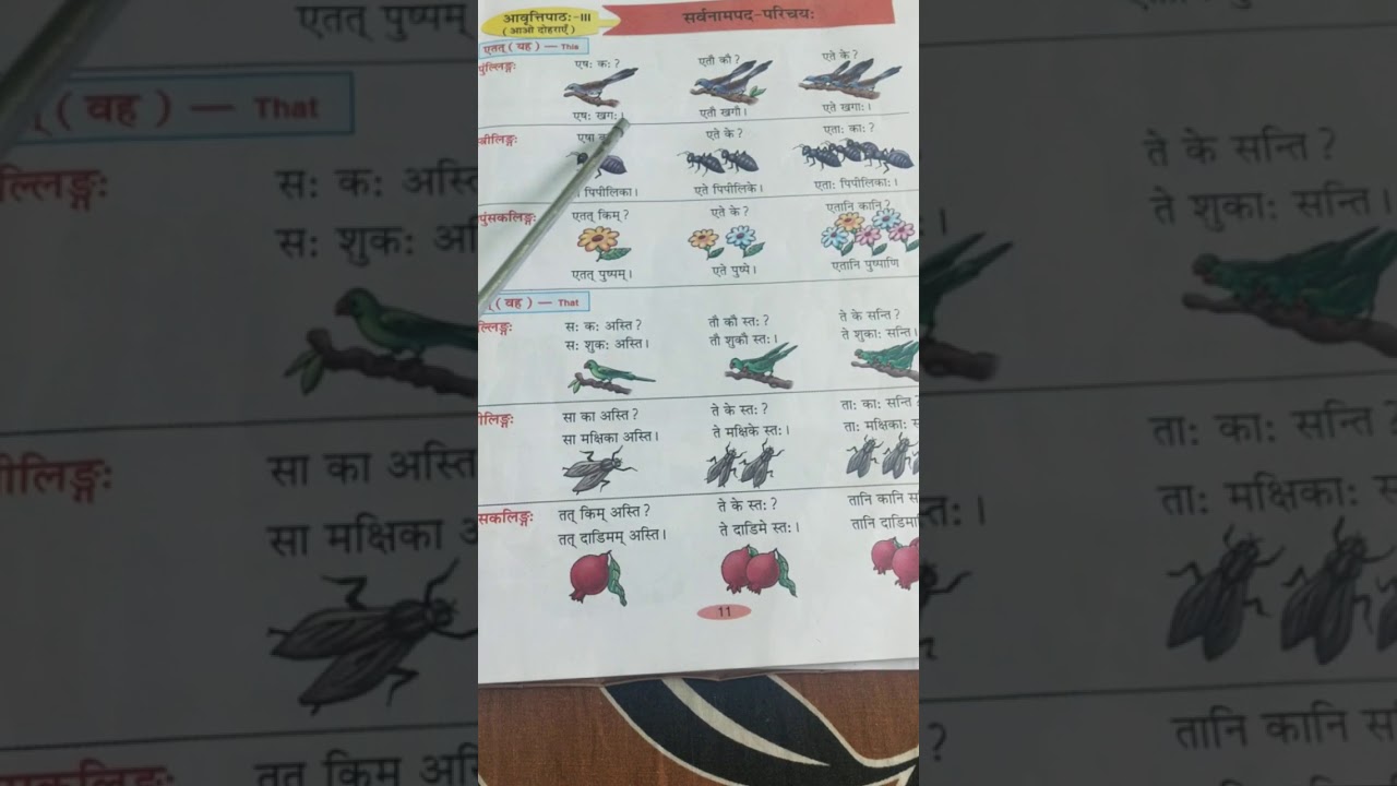 6 CLASS SANSKRIT CHAPTER 3 Part 3 YouTube 6-class-sanskrit-chapter-3-part-3-youtube
