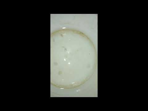 Tips cara menghilangkan lendir pada bakso | Bakso enak kembali #short
