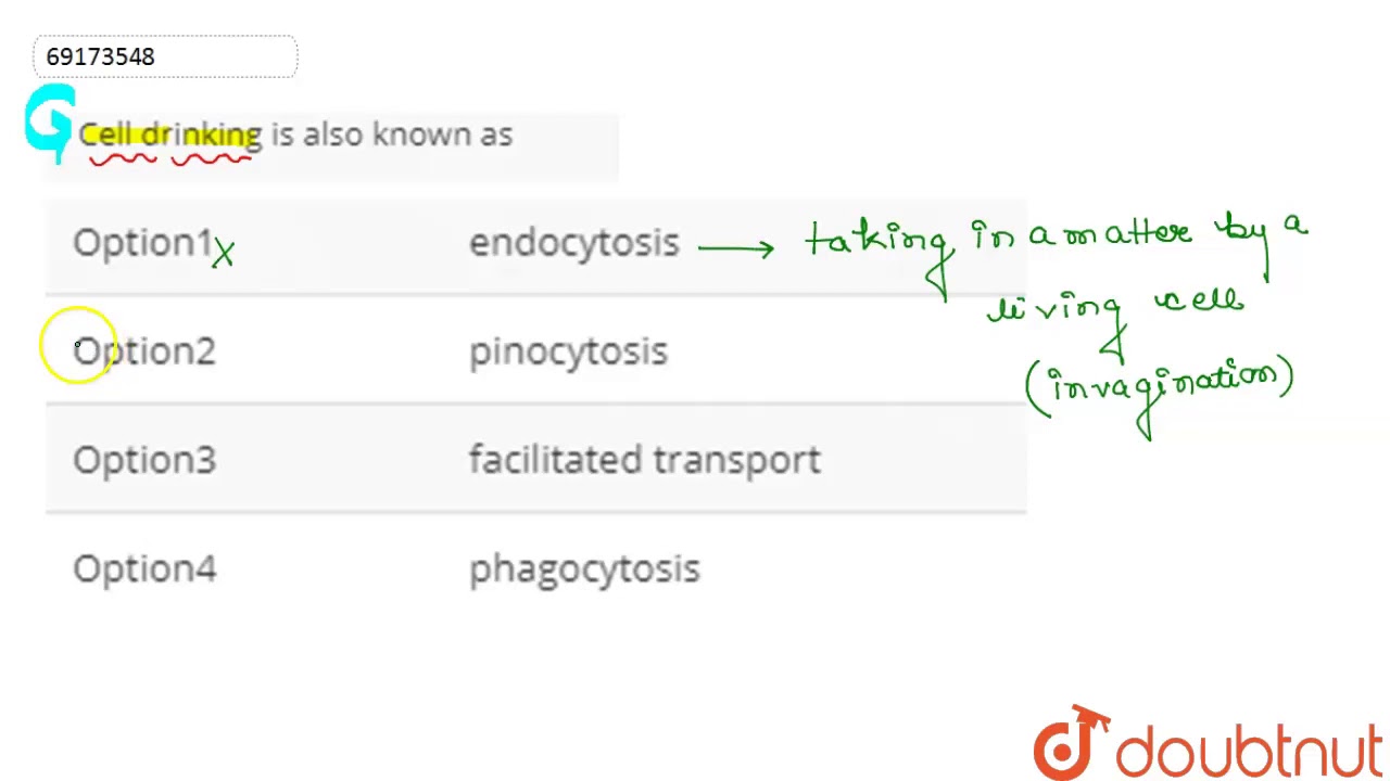 Cell drinking is also known as - YouTube