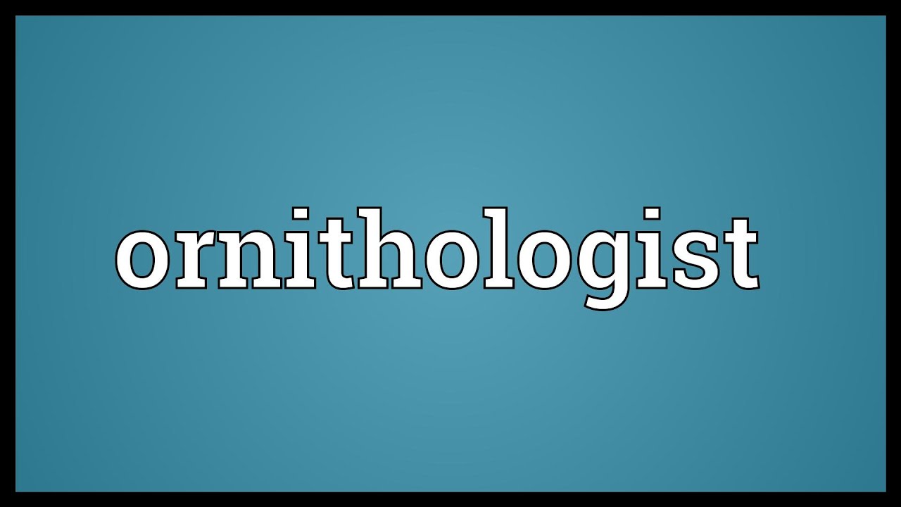 Ornithologist Meaning - YouTube