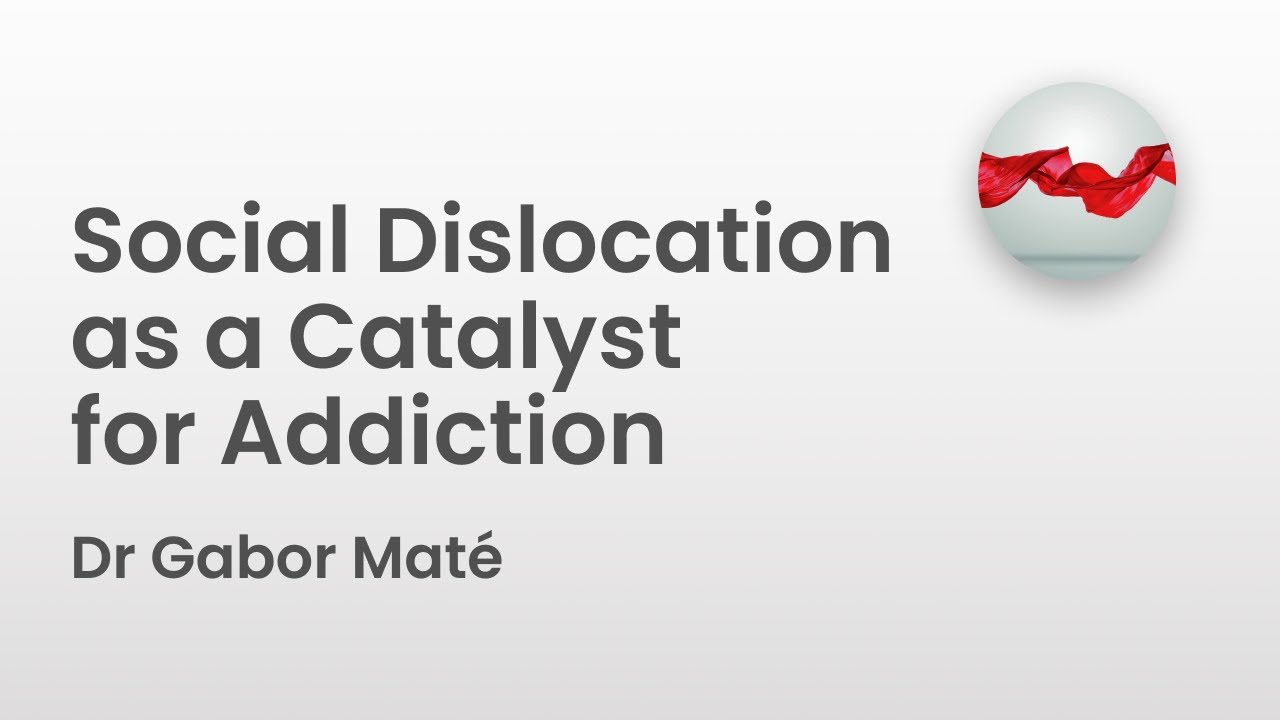 Social Dislocation as a Catalyst for Addiction | Dr Gabor Maté - YouTube