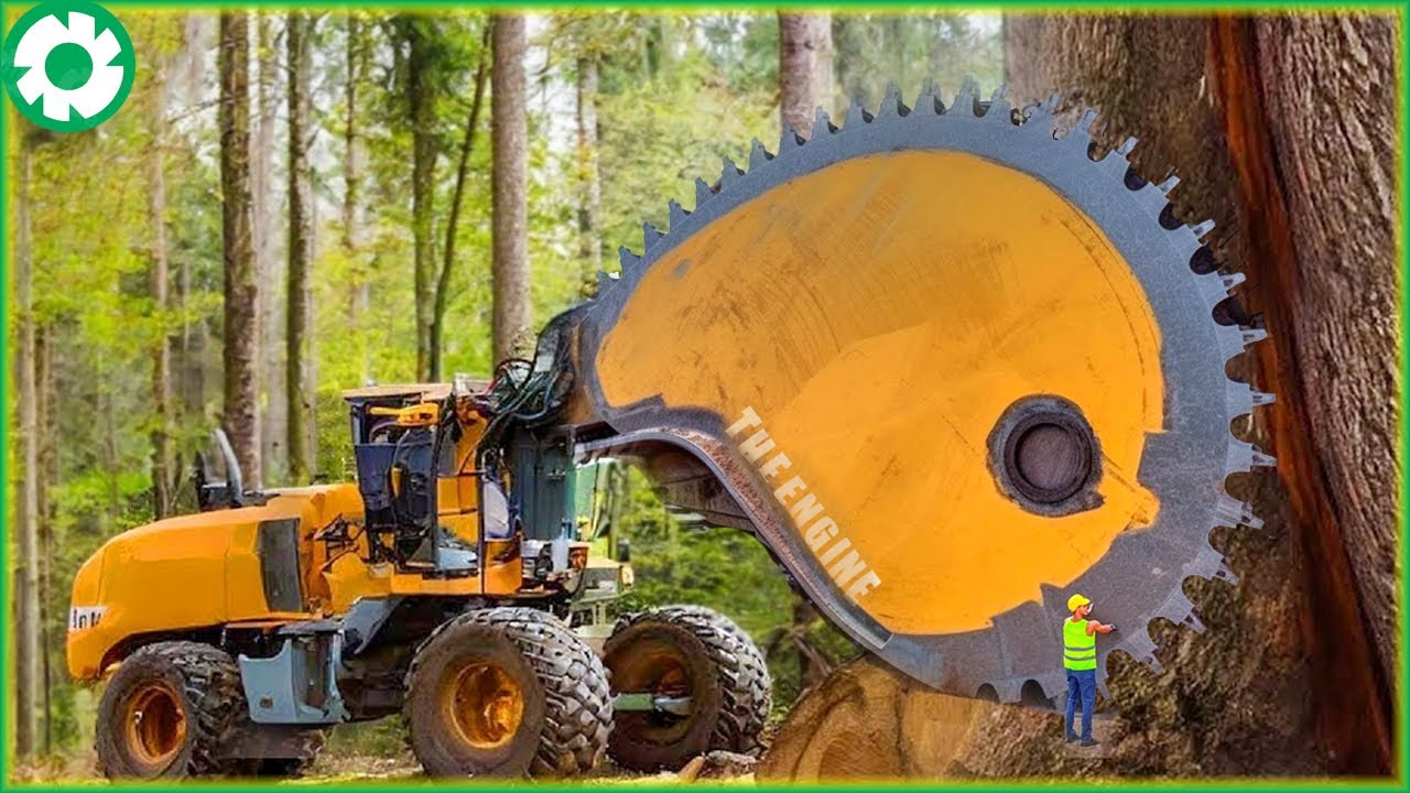 Most Big Chainsaw Cutting Tree Machines | Agriculture Technology - YouTube