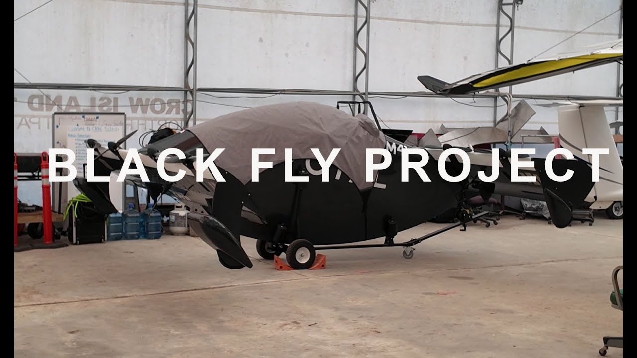 the BLACK FLY PROJECT - YouTube