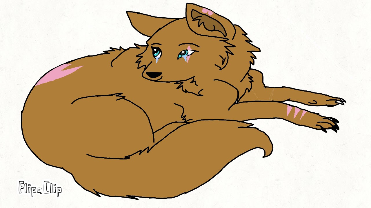 Wolf turn animation - YouTube