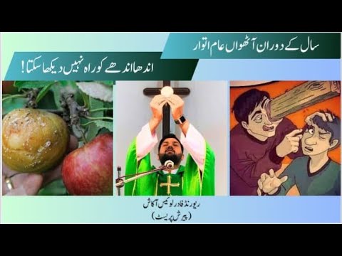 8th Sunday through the Year (c)/ Fr. Louis Akash Official - YouTube