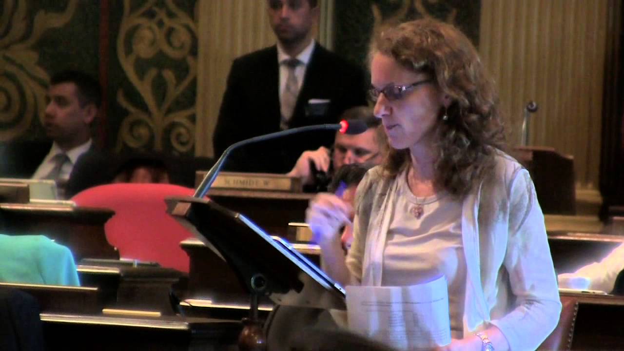 Rep. Ellen Cogen Lipton Minimum Wage Amendment - YouTube