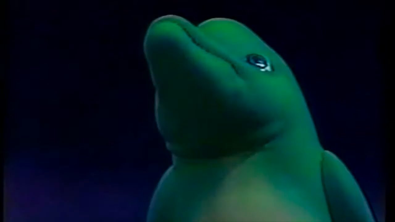 Rare Fin Fin Animation - YouTube