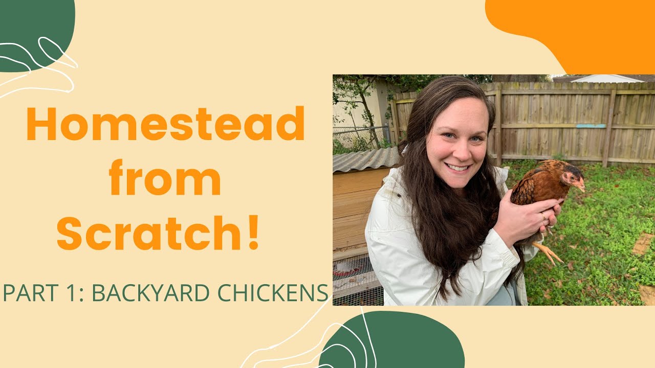 BACKYARD CHICKENS Start Here! | Homestead from Scratch| Chickens for ...