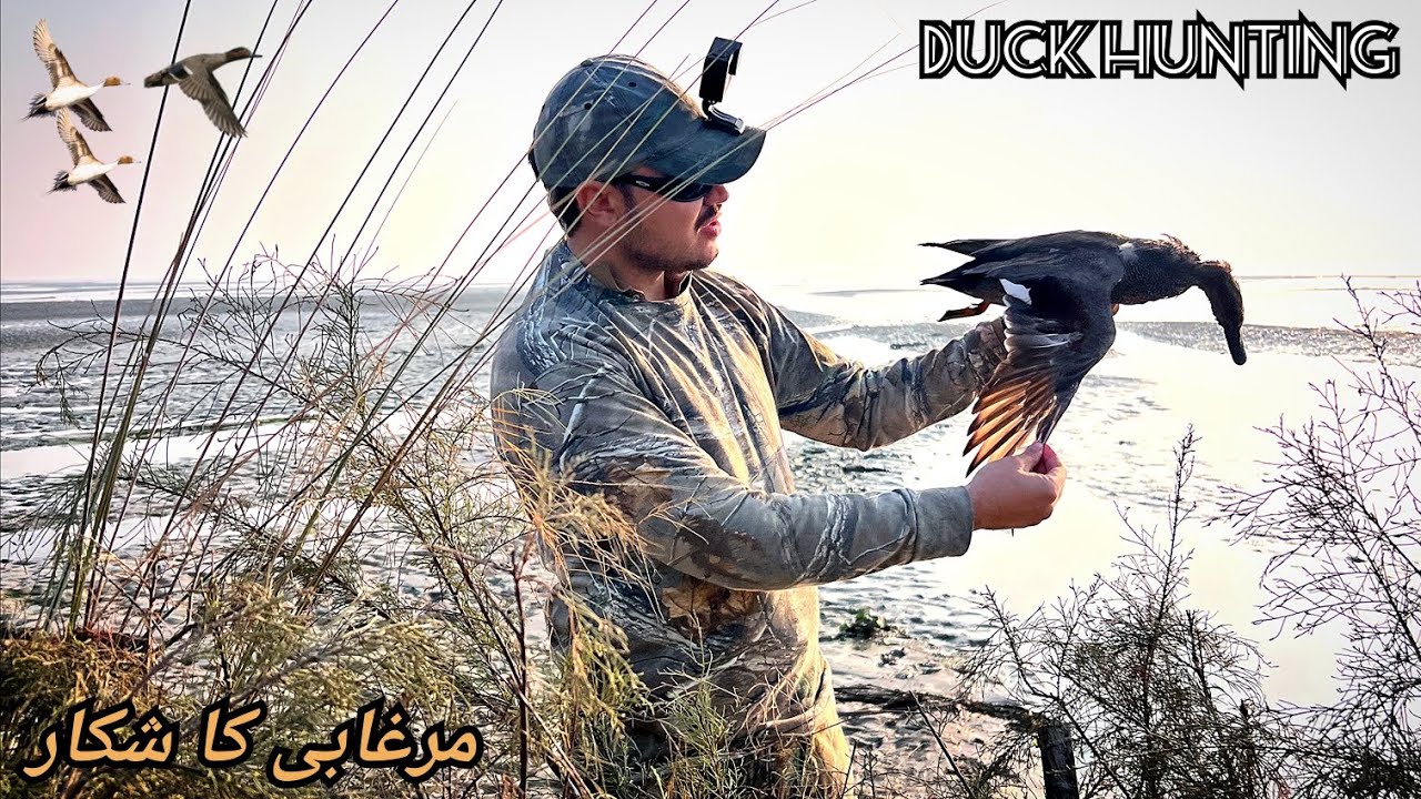 Epic Duck Hunt – Ducks Everywhere! |Hunting in Pakistan | Season 2025 ...