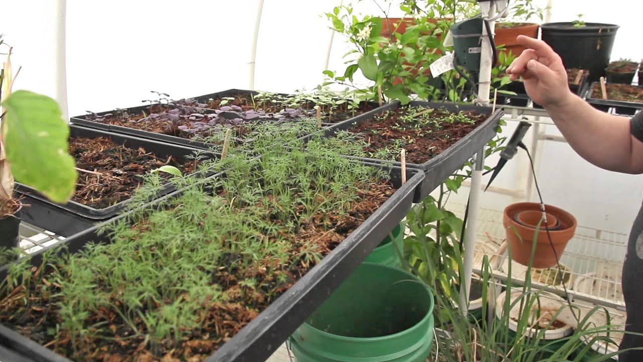 PT Gardens - YouTube