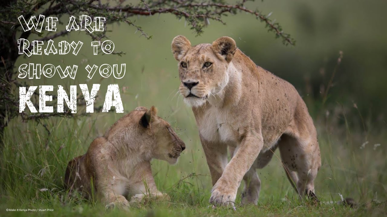 We are Ready to Show You Kenya - YouTube