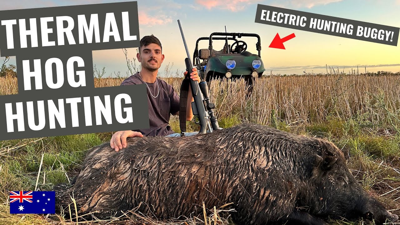 FullBoar Hunting Ep4 | Thermal Pig Hunting with ELECTRIC buggy | NSW ...