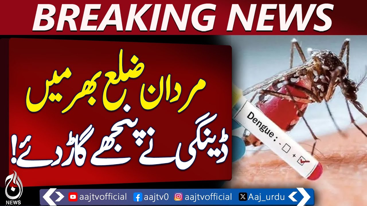 Mardan Dengue Outbreak | 31 Patients Confirmed | Thousands Infected ...