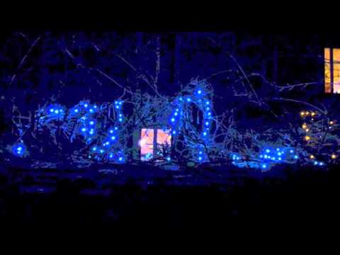 Décorations lumineuses de Noël 2015 à Thoraise