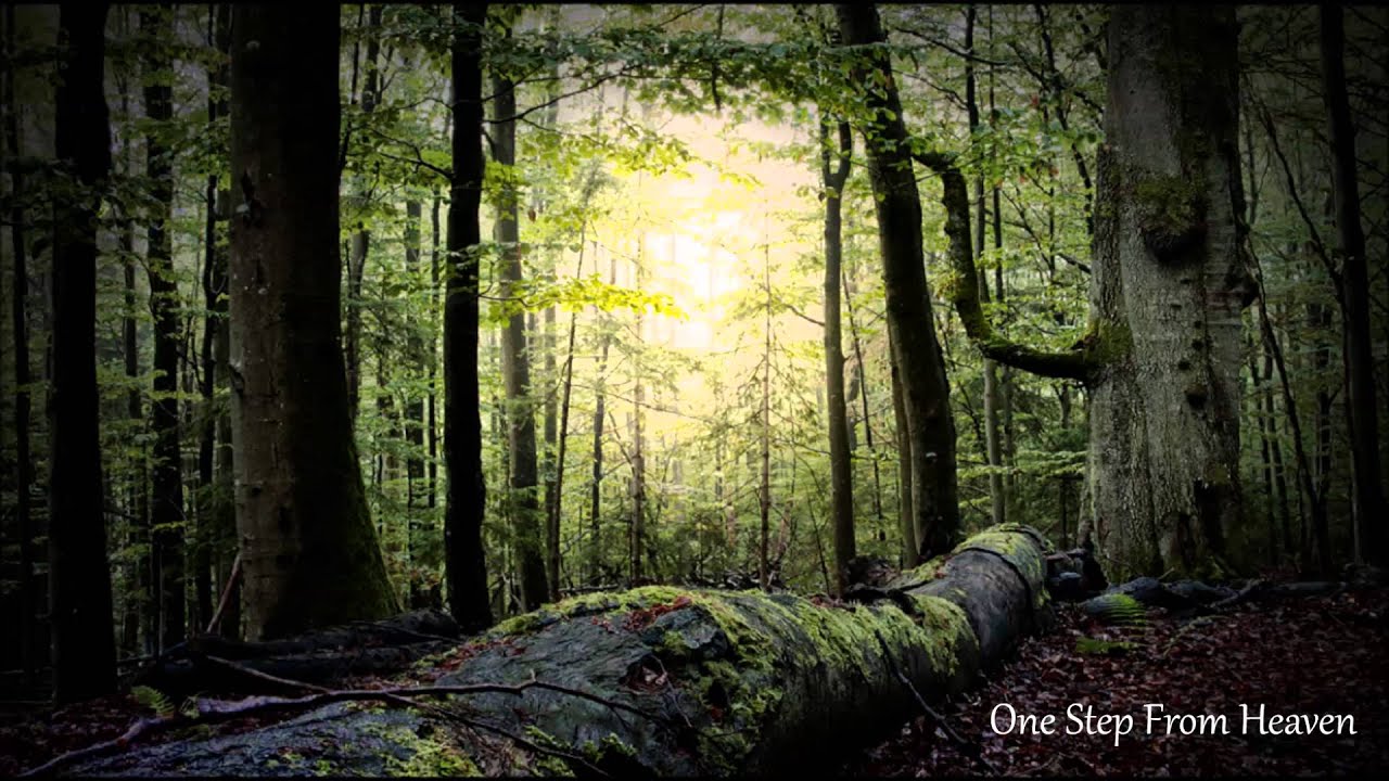 Tom Day - Enter Pyongyang - YouTube