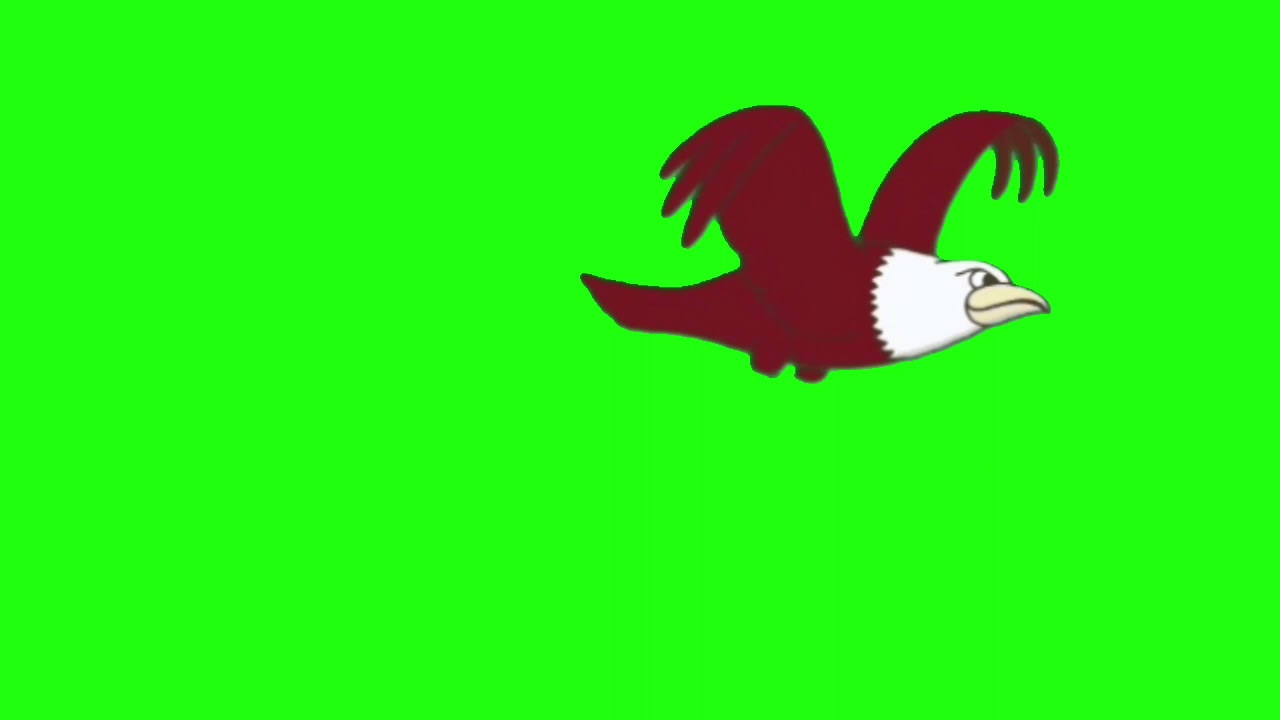 Bird fly green Screen video!!Eagle fly green Screen!!No copyright - YouTube